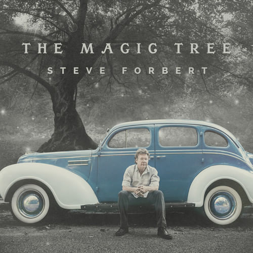 The Magic Tree CD - Steve Forbert