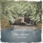 Here Before Vinil - Feelies
