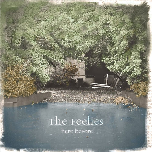 Here Before Vinil - Feelies
