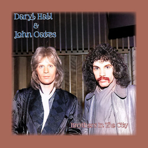 Brothers In The City Cd - Hall & Oates