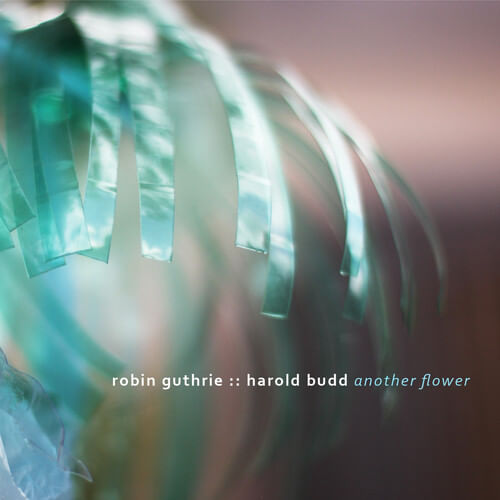 Another Flower Cd - Robin / Budd,Harold Guthrie