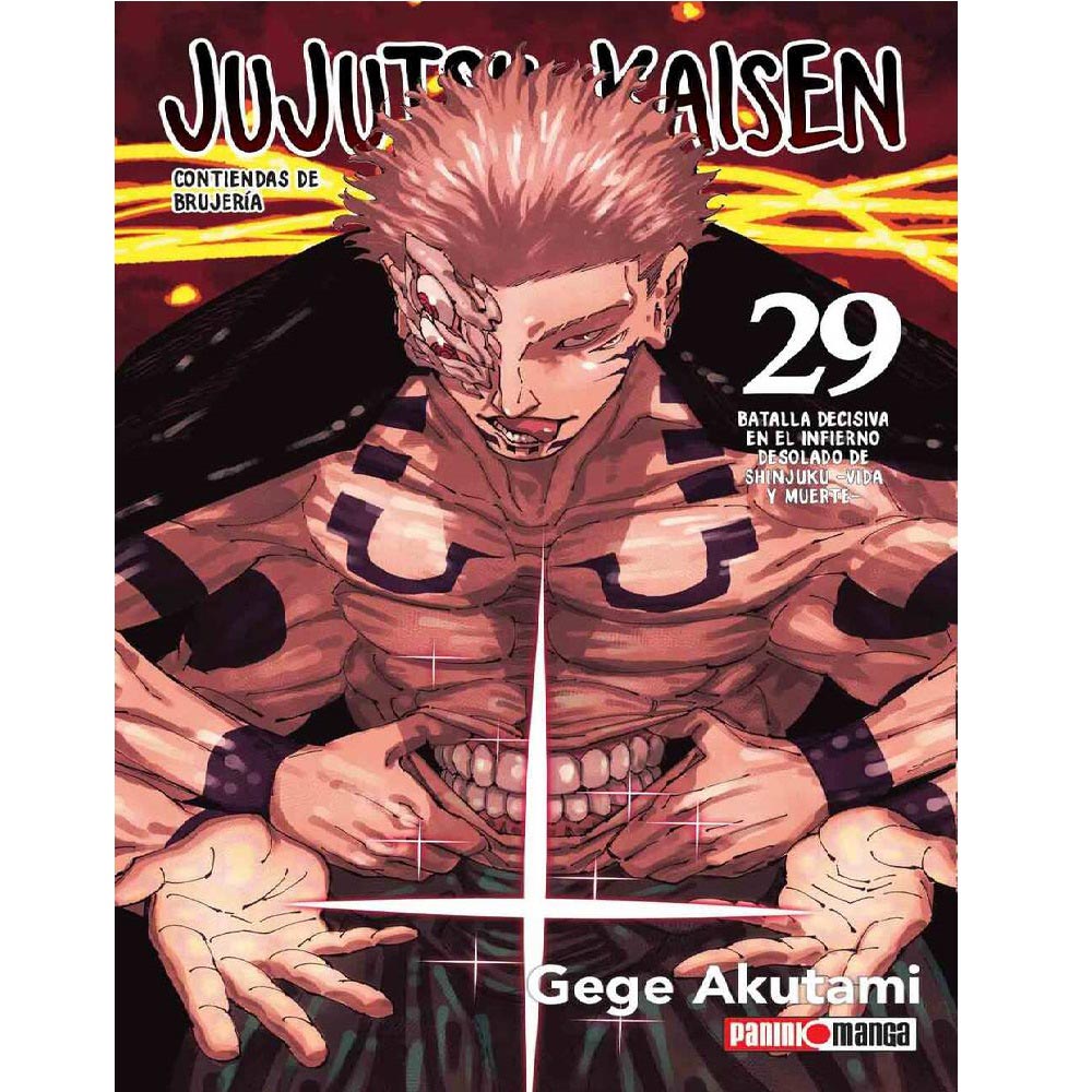 Jujutsu Kaisen No. 29