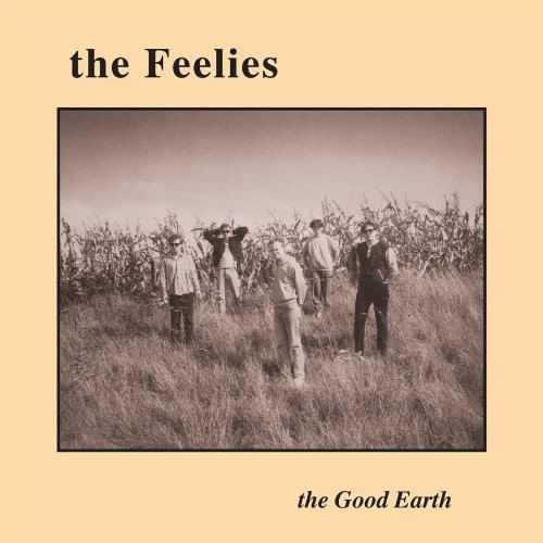 Good Earth Vinil - Feelies